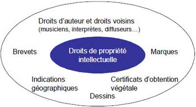 L’UE veut homogénéiser les droits de Propriété Intellectuelle ...